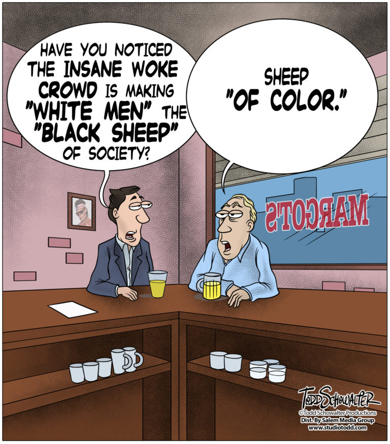 Todd Schowalter Cartoons | NewsTalkSTL | News. Analysis. Opinion | Missouri