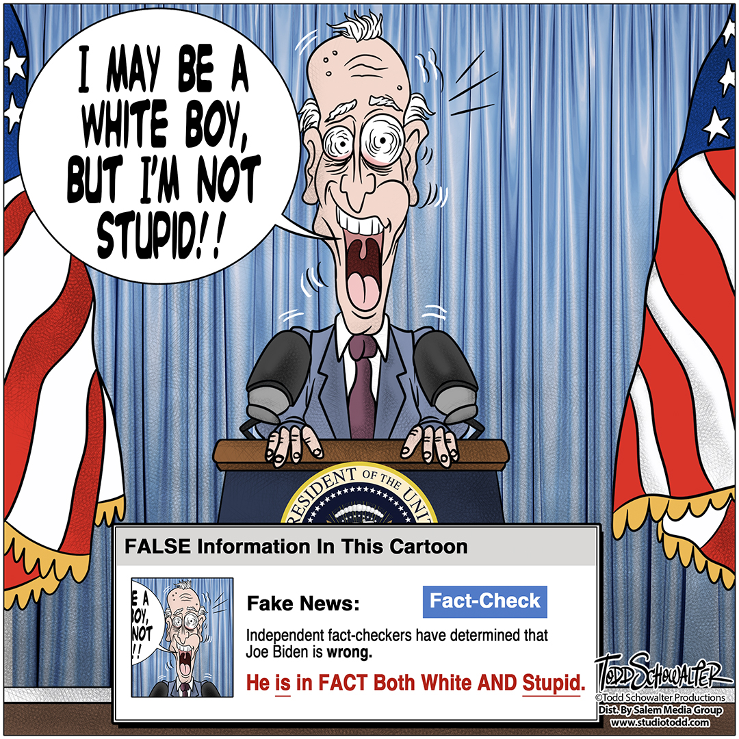 Todd Schowalter Cartoons | NewsTalkSTL | News. Analysis. Opinion | Missouri
