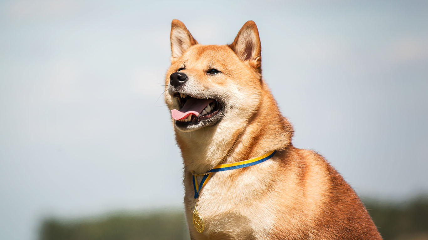 ‘Don’t buy into the lies’: Karoline Leavitt sets ‘record straight’ on ...